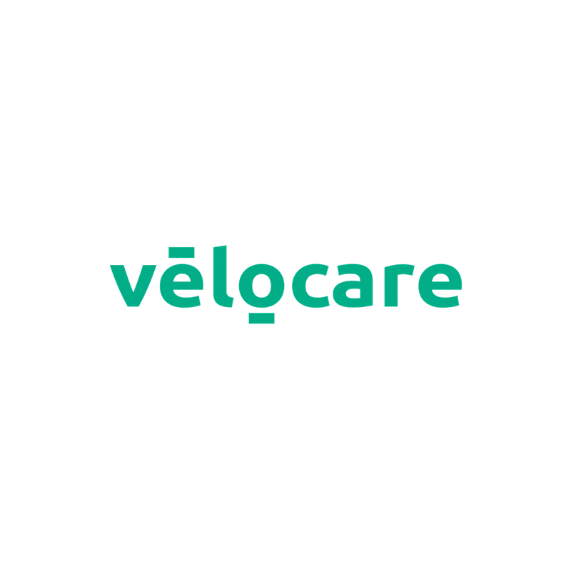 VELOCARE – Big Cat Electric Bikes