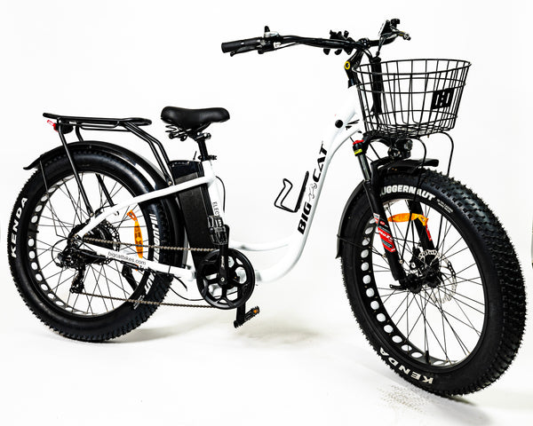 Big Cat 2025 Long Beach Cruiser XXL 750w electric bike – Big Cat ...