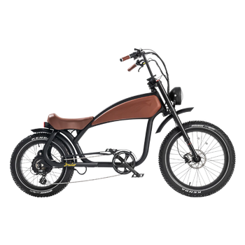 Big Cat Sun Trike E350 Electric Trike (very stable) – Big Cat Electric ...