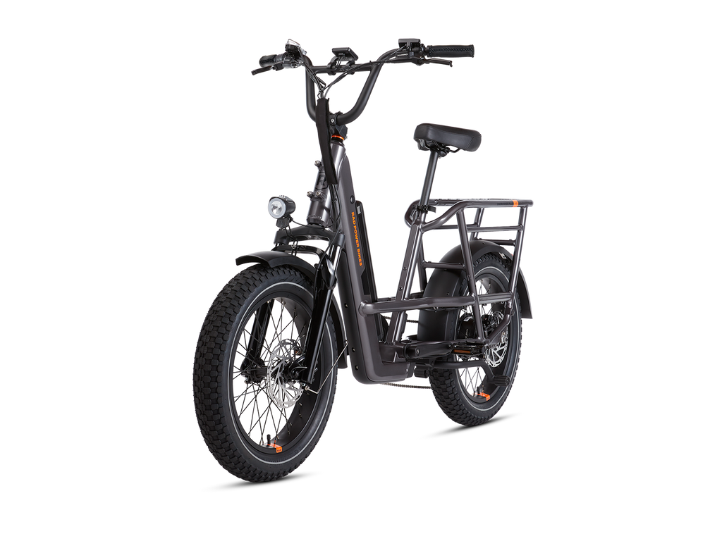 RadRunner 3 Plus Electric Utility Bike – Big Cat Electric Bikes