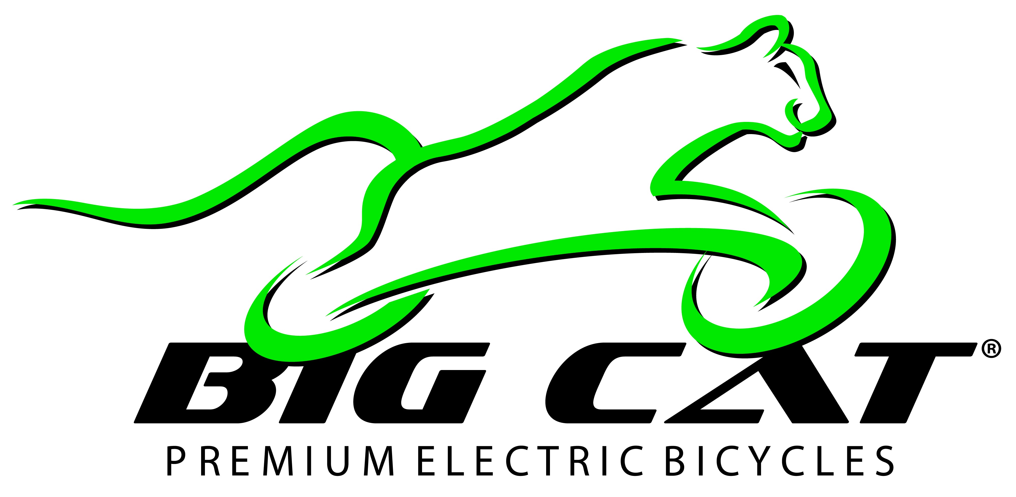 BIG CAT ELECTRIC BIKES – Big Cat Electric Bikes