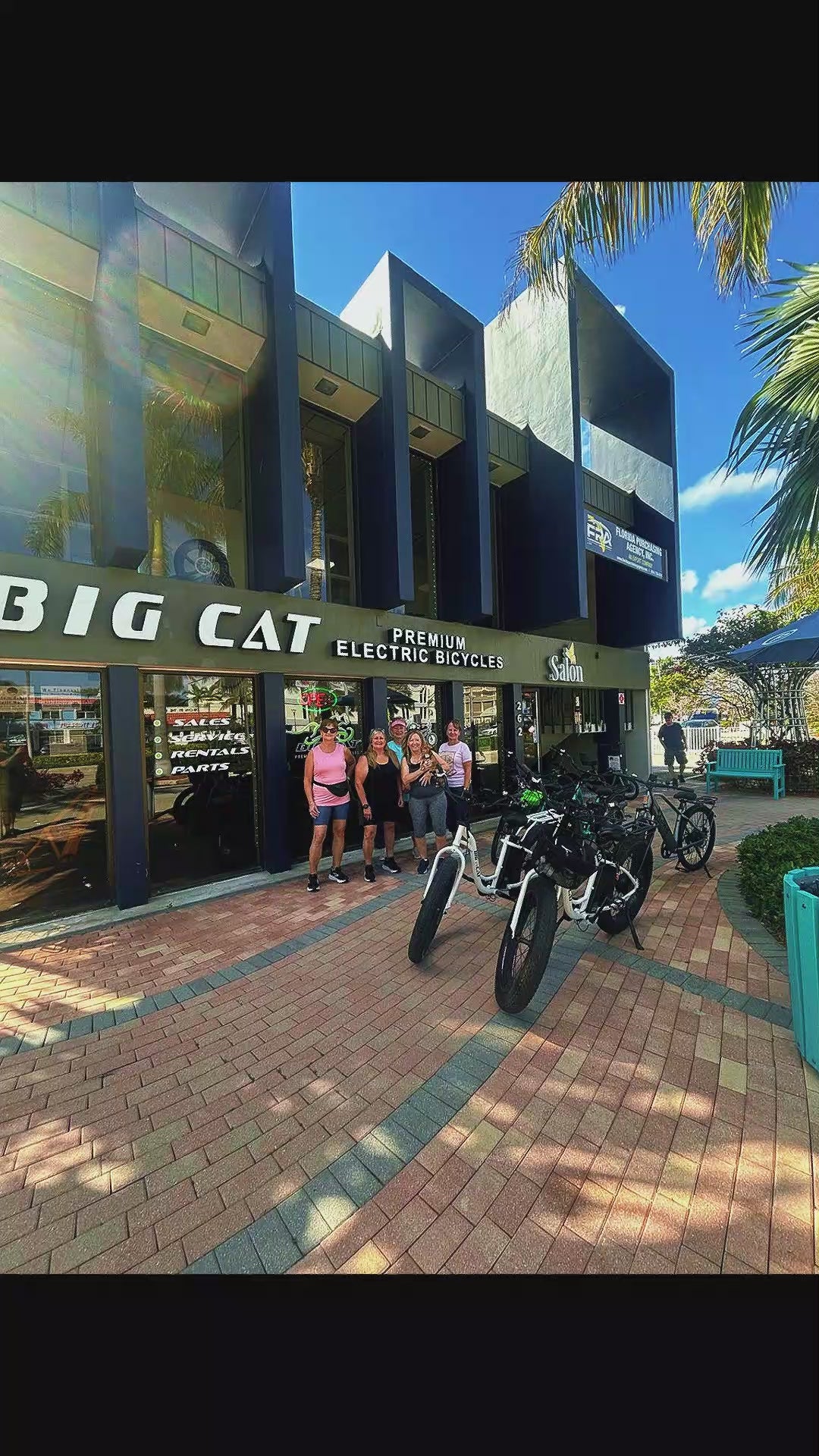 BIG CAT ELECTRIC BIKES – Big Cat Electric Bikes