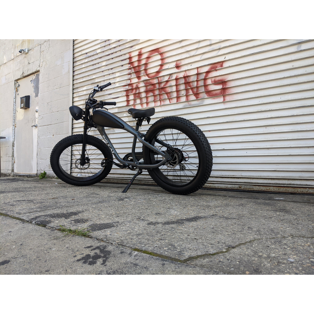 BIG CAT ELECTRIC BIKES – Big Cat Electric Bikes